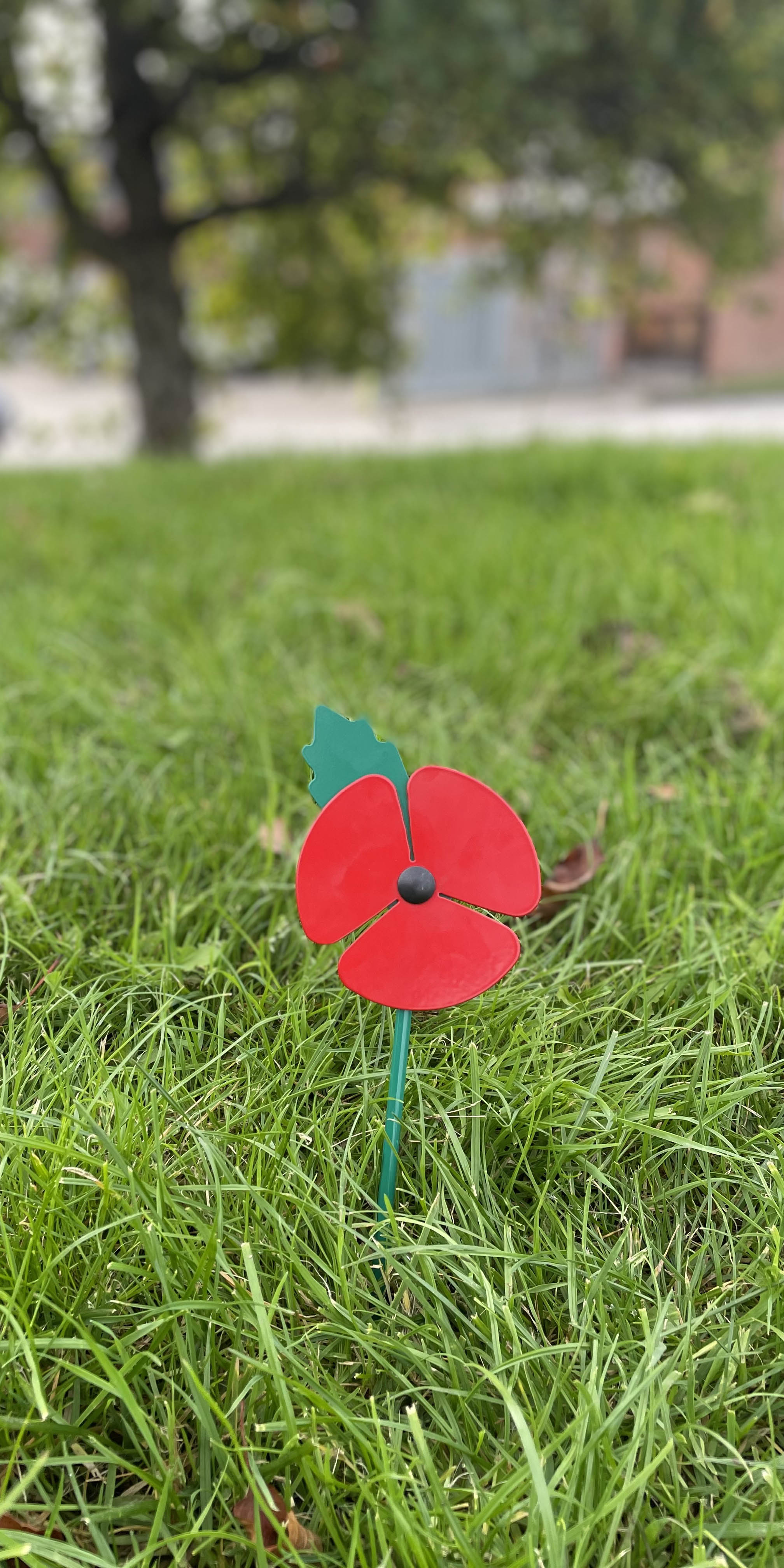 Remembrance Poppy – Acres Engineering