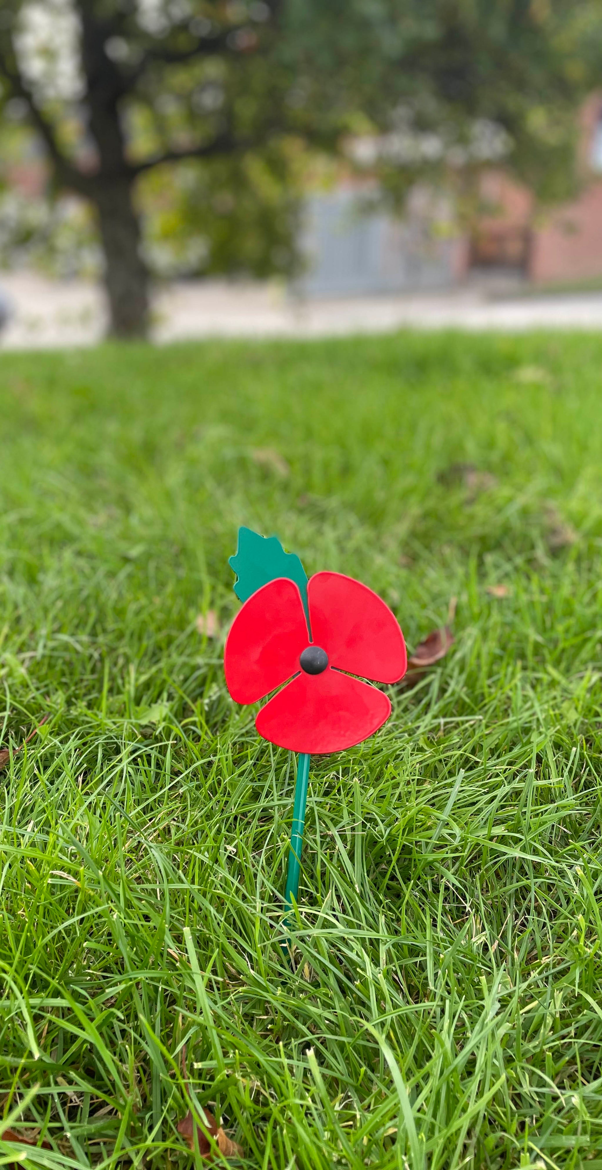 Remembrance Poppy – Acres Engineering